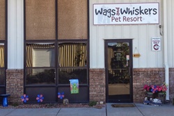 Wags And Whiskers Flagstaff